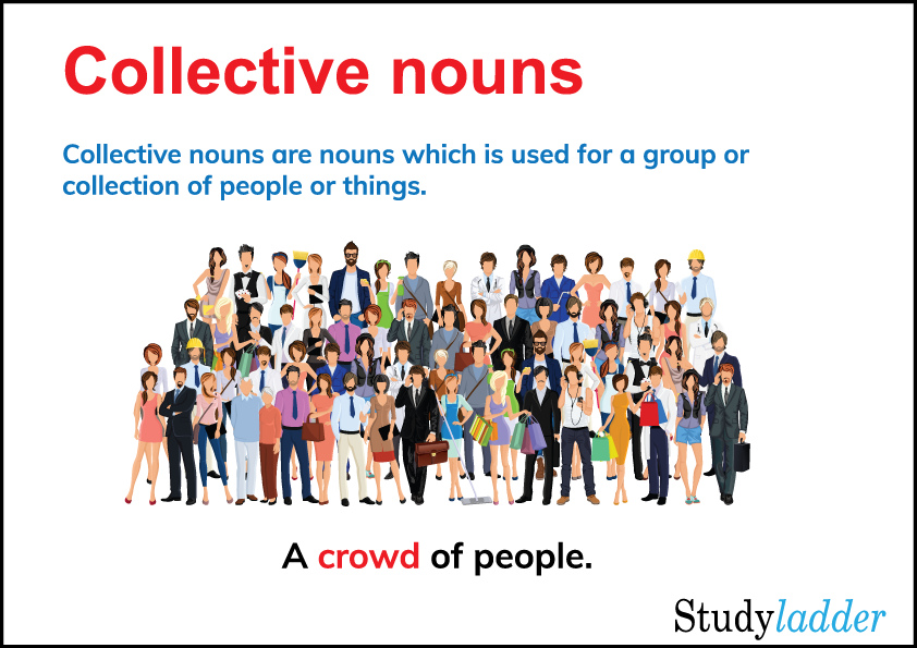 Collective Nouns - Studyladder Interactive Learning Games