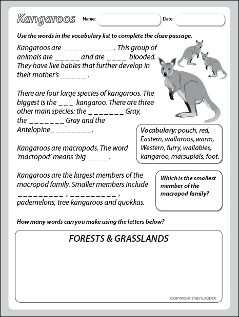Kangaroo Classification - Studyladder Interactive Learning Games
